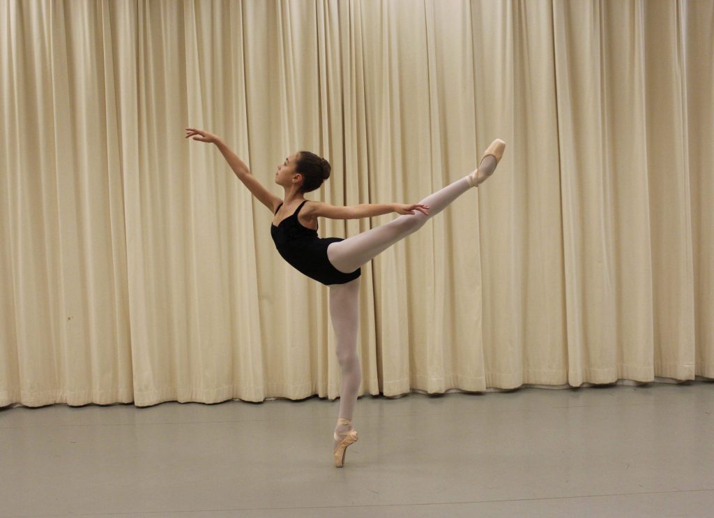 Projects – BALLET INSIGHTS